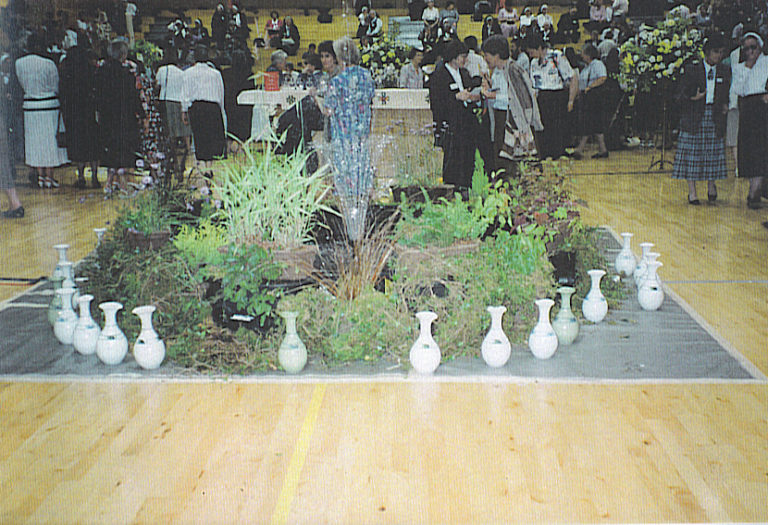 The Sisters Of Mercy: A New Congregation Takes Shape | Congregation of ...