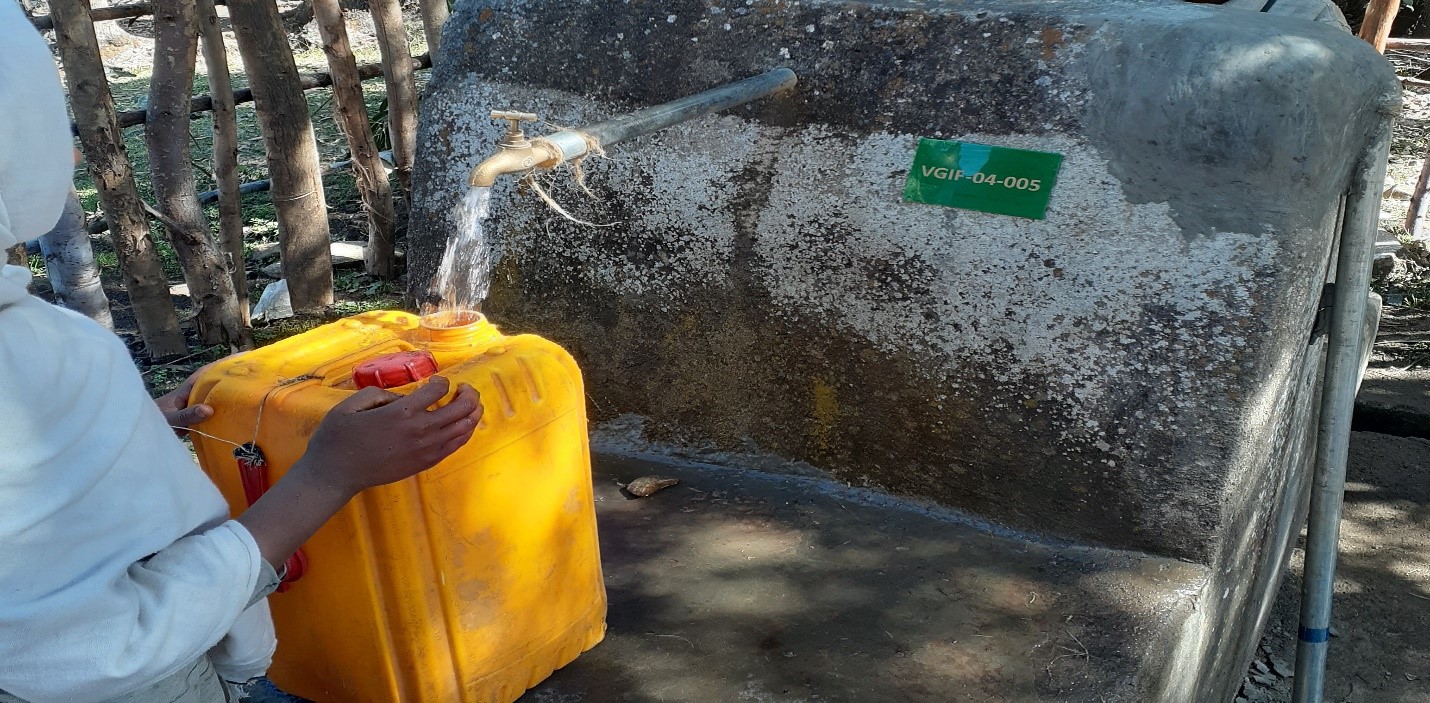 Mercy & Vita | Congregation of the Sisters of Mercy